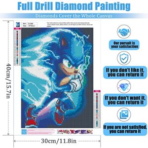 arcvoso 5D Diamond Painting Kits for Adults - Diamond Art Kits for Adults Kids Beginner,DIY Sonic Diamond Painting Full Drill Round Rhinestone for Home Wall Decor 11.8X15.7inch