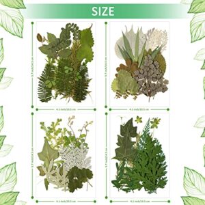 TimTin 84 Pieces Dried Pressed Leaves Dried Flowers Resin Dried Leaves Resin Mini Dried Flowers Crafts Dried Greenery Assorted Dried Leaves Art DIY Handmade Bookmarks 4 Bags (Vivid Style)