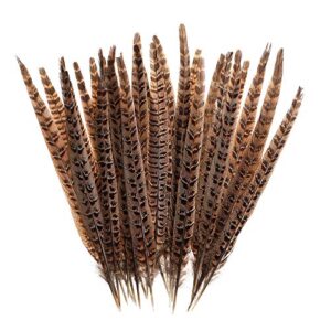 awaytr 20pcs natural pheasant feathers – pheasant tail 8-11inch(21-28cm) for diy decoration (female pheasant tail)