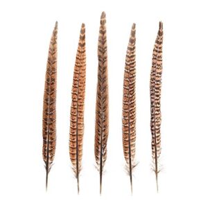 AWAYTR 20pcs Natural Pheasant Feathers - Pheasant Tail 8-11inch(21-28cm) for DIY Decoration (Female Pheasant Tail)