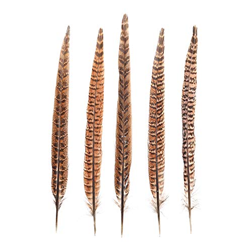 AWAYTR 20pcs Natural Pheasant Feathers - Pheasant Tail 8-11inch(21-28cm) for DIY Decoration (Female Pheasant Tail)