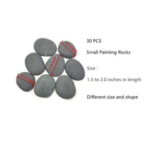 Lifetop 30PCS Small Painting Rocks, DIY Rocks Flat & Smooth Kindness Rocks for Arts, Crafts, Decoration, Gray Rocks for Painting,Hand Picked for Painting Rocks