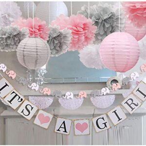 luckylibra Baby Girl Baby Shower Decorations, It is a Girl Banners and Paper Lantern Paper Flower Pom Poms （Pink White Grey）