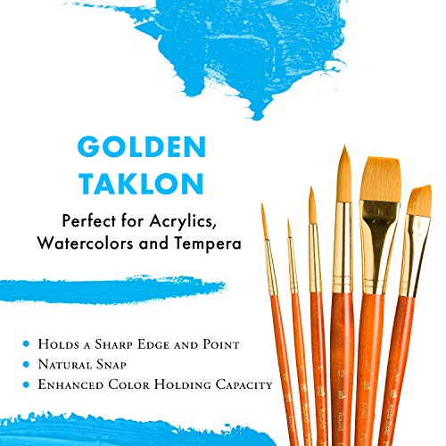 Princeton Real Value, Series 9100, Paint Brush Sets for Acrylic, Oil & Watercolor Painting, Syn-Gold Taklon (Rnd 1, 6, 12 Liner 2, ANG Shader 1/2, Wash 3/4)