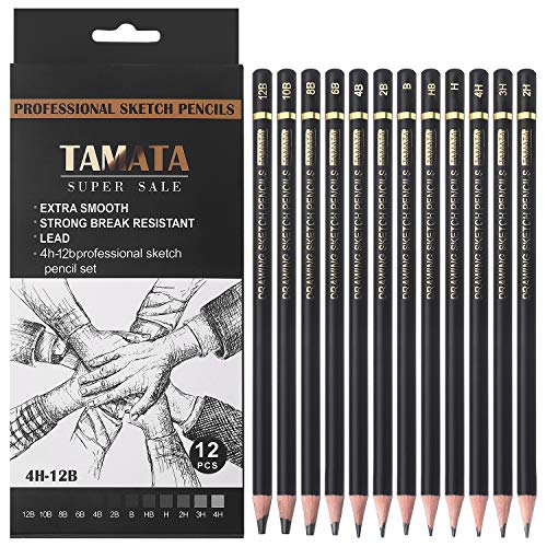 RVOGJP TAMATA Professional Drawing Sketching Pencil Set - 12 Pieces Art Drawing Graphite Pencils(12B - 4H), Ideal for Drawing Art, Sketching, Shading, for Beginners & Pro Artists