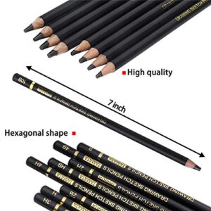 RVOGJP TAMATA Professional Drawing Sketching Pencil Set - 12 Pieces Art Drawing Graphite Pencils(12B - 4H), Ideal for Drawing Art, Sketching, Shading, for Beginners & Pro Artists