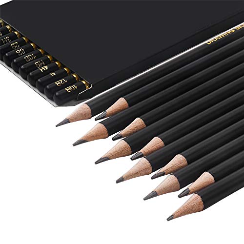 RVOGJP TAMATA Professional Drawing Sketching Pencil Set - 12 Pieces Art Drawing Graphite Pencils(12B - 4H), Ideal for Drawing Art, Sketching, Shading, for Beginners & Pro Artists