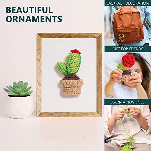 PP OPOUNT Beginner Crochet Kit - 6 PCS Potted Plants, Complete Crochet Kit for Beginners, Starter Pack for Adults and Kids with Step-by-Step Instructions and Video Tutorials