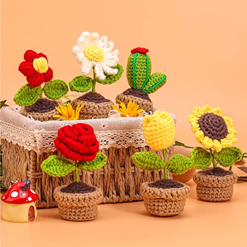 PP OPOUNT Beginner Crochet Kit - 6 PCS Potted Plants, Complete Crochet Kit for Beginners, Starter Pack for Adults and Kids with Step-by-Step Instructions and Video Tutorials