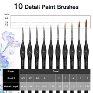 Micro Detail Paint Brush Set, 10pcs Small Miniature Fine Paint Brushes for Acrylic Painting, Miniature Detailing ,Figures, Models, Oil, Watercolor, Citadel Paint, Warhammer 40K&Line Drawing (Black)