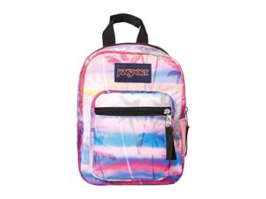 jansport big break, palm paradise, one size