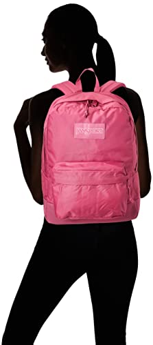 JanSport Mono Superbreak® Magenta Haze One Size