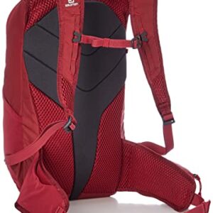 Salomon Trailblazer 20 Backpack