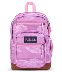 jansport js0a2sdd94f cool student static rose