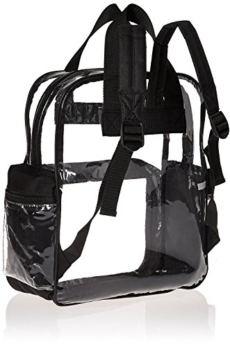 Clear Backpack, Camping Hiking Daypacks, Transparent Backpacks (Clear - 14")