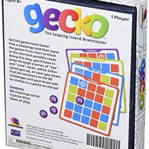 Brainwright Gecko, The Leaping Lizard Brainteaser Puzzle