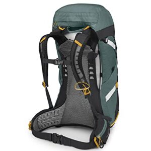 Osprey Sirrus 36 Women's Hiking Backpack, Succulent Green