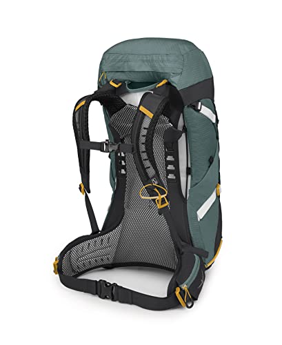 Osprey Sirrus 36 Women's Hiking Backpack, Succulent Green