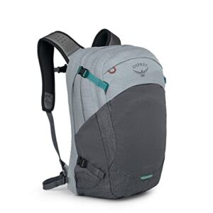 Osprey Nebula 32 Laptop Backpack, Silver Lining/Tunnel Vision Pop