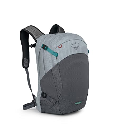 Osprey Nebula 32 Laptop Backpack, Silver Lining/Tunnel Vision Pop