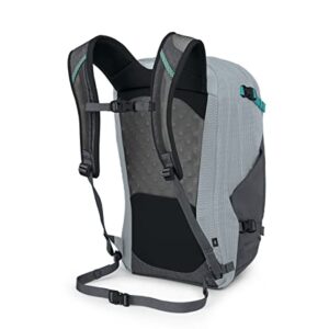 Osprey Nebula 32 Laptop Backpack, Silver Lining/Tunnel Vision Pop