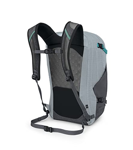 Osprey Nebula 32 Laptop Backpack, Silver Lining/Tunnel Vision Pop