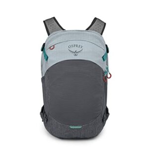 Osprey Nebula 32 Laptop Backpack, Silver Lining/Tunnel Vision Pop