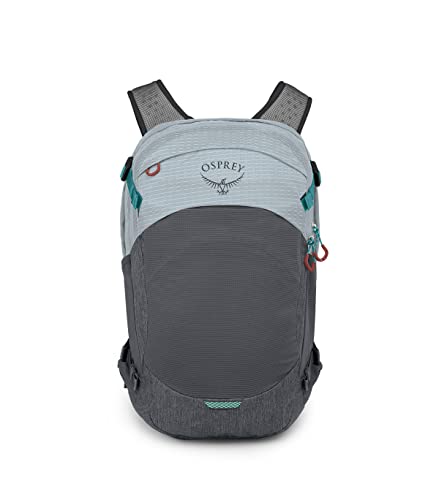 Osprey Nebula 32 Laptop Backpack, Silver Lining/Tunnel Vision Pop