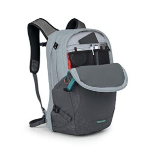 Osprey Nebula 32 Laptop Backpack, Silver Lining/Tunnel Vision Pop