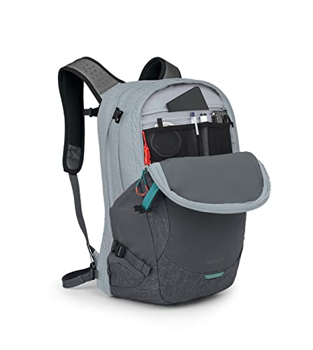 Osprey Nebula 32 Laptop Backpack, Silver Lining/Tunnel Vision Pop