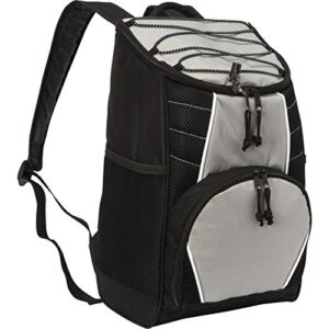 bellino backpack lunch box cooler