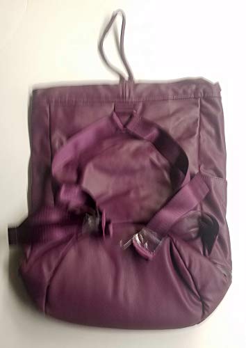 Nike Jordan Jumpman Skyline City Portage Bag Backpack Grape/Purple 9A0023-P3D