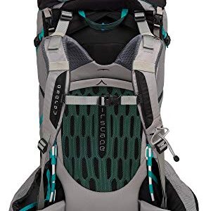 Osprey Ariel Pro 65 Women's Backpacking Backpack, Voyager Grey, X-Small