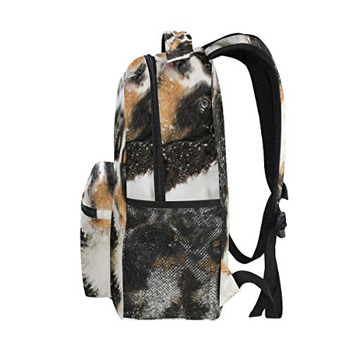 School College Backpack Rucksack Travel Bookbag Outdoor Bernese Mountain Dog