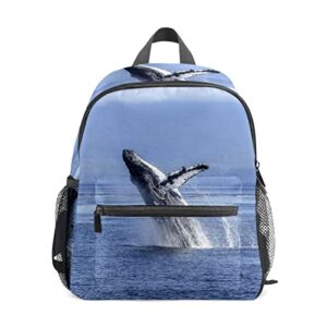 girls cute mini backpack humpback whales natural landscape jumping sea small backpack school bag lightweight preschool backpacks fashion backpack purse for women travel bag daypack for girls boys