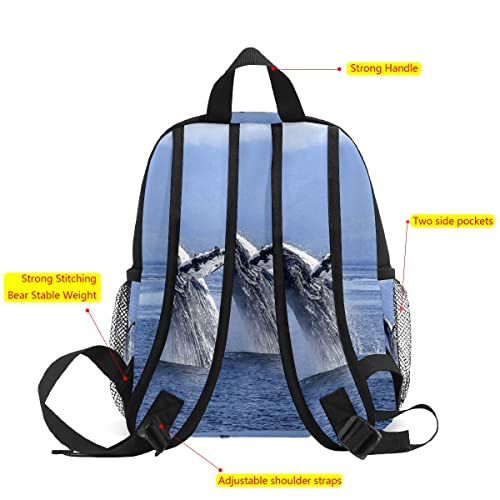 Girls Cute Mini Backpack Humpback Whales Natural Landscape Jumping Sea Small Backpack School Bag Lightweight Preschool Backpacks Fashion Backpack Purse for Women Travel Bag Daypack for Girls Boys