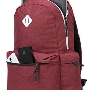 Targus Strata II College and Travel Laptop Backpack with Protective Sleeve for 15.6-Inch Laptop, Burgundy (TSB93603GL)