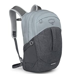 Osprey Comet 30 Laptop Backpack, Silver Lining/Tunnel Vision