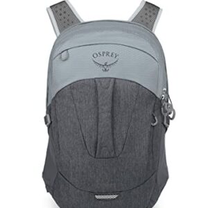 Osprey Comet 30 Laptop Backpack, Silver Lining/Tunnel Vision