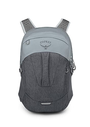 Osprey Comet 30 Laptop Backpack, Silver Lining/Tunnel Vision