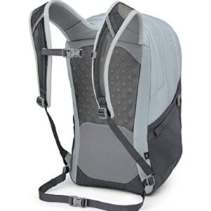 Osprey Comet 30 Laptop Backpack, Silver Lining/Tunnel Vision