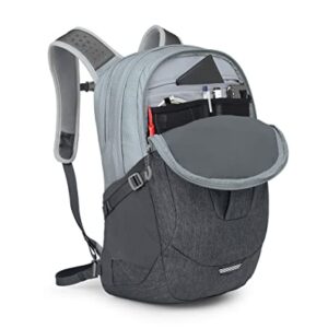 Osprey Comet 30 Laptop Backpack, Silver Lining/Tunnel Vision