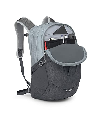 Osprey Comet 30 Laptop Backpack, Silver Lining/Tunnel Vision