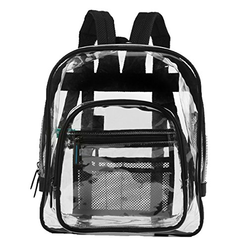 Medium Clear Transparent Backpack