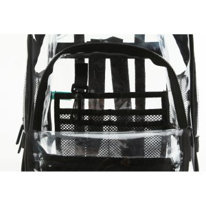 Medium Clear Transparent Backpack