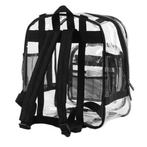 Medium Clear Transparent Backpack