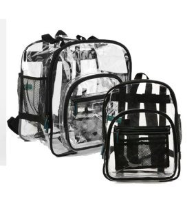 Medium Clear Transparent Backpack