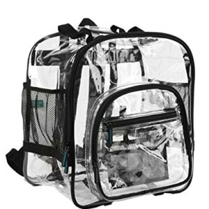 Medium Clear Transparent Backpack