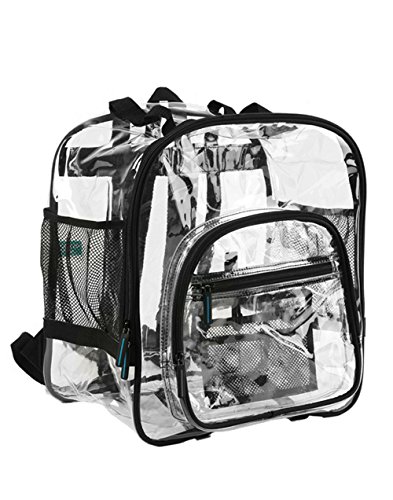 Medium Clear Transparent Backpack