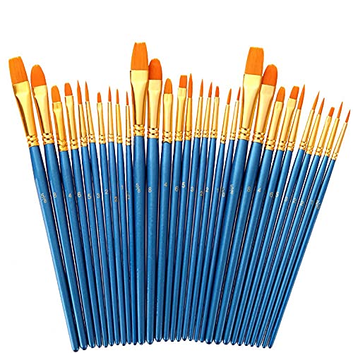 Foeran Paint Brushes Set,30 Pcs Round Pointed Tip Paintbrushes Nylon Hair Artist Acrylic Paint Brushes for Acrylic Oil Watercolor,Face Nail Art,Miniature Detailing and Rock Painting